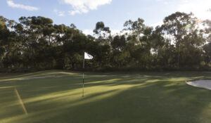 Golf Handicaps: How Do They Work? - Eynesbury Golf